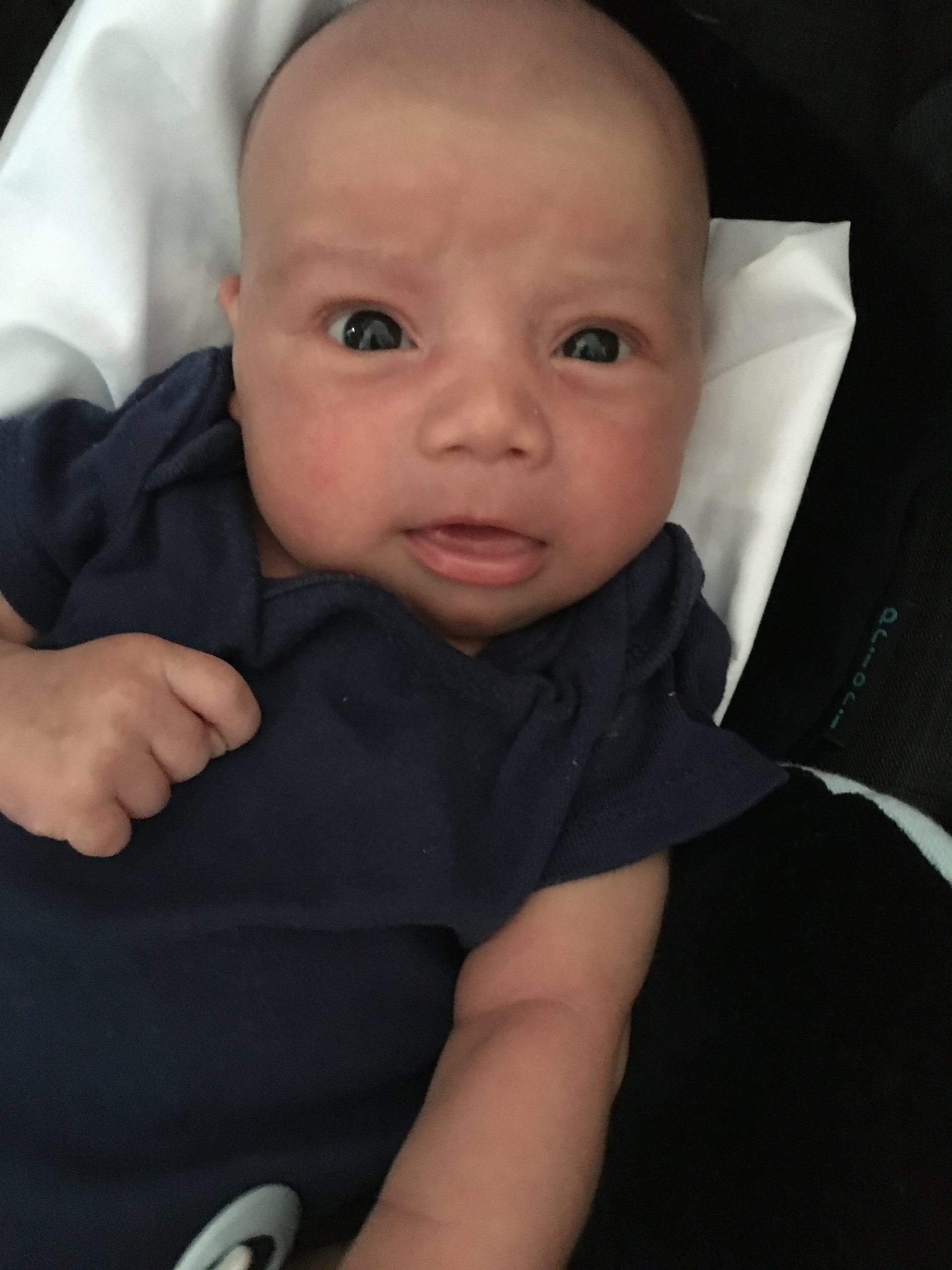 El poder de la naturaleza cuando tiene que ser - Halitus Instituto ...