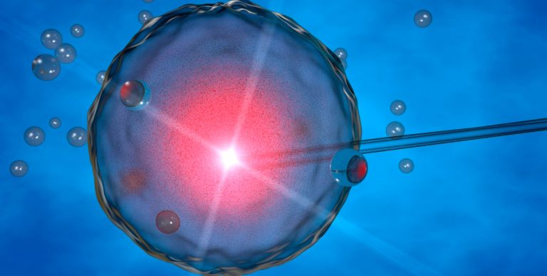 Ya 4 de cada 10 centros de fertilidad usan inteligencia artificial y ...